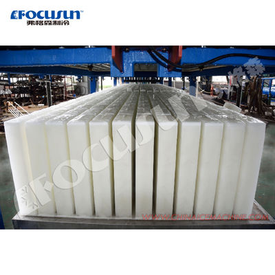 30 Tonnes Daily Capacity Ice Block Machine Bitzer Compressor and ...